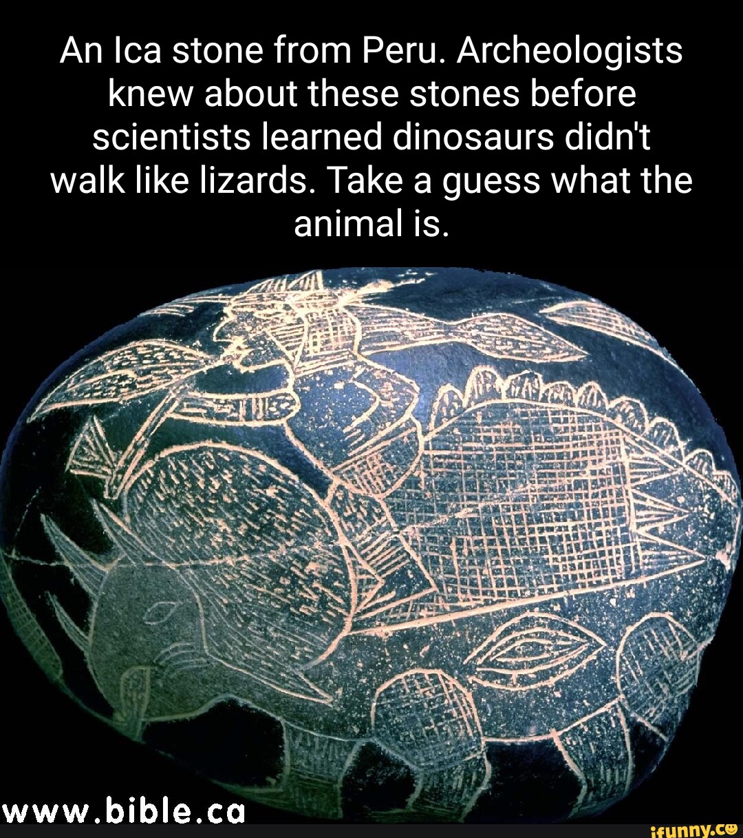 An Ica stone from Peru. Archeologists knew about these stones before ...