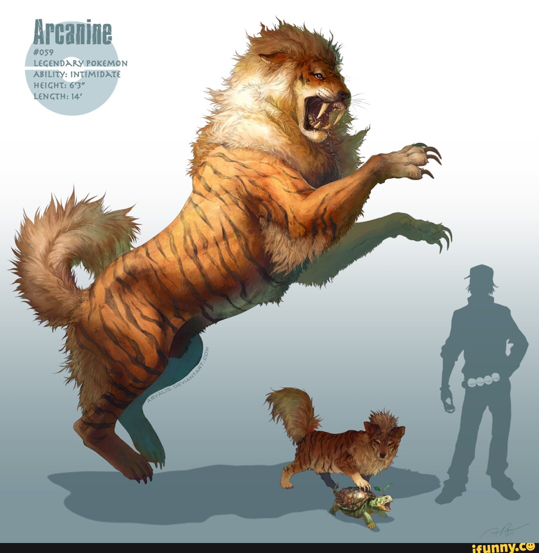 Arcanine memes. Best Collection of funny Arcanine pictures on iFunny