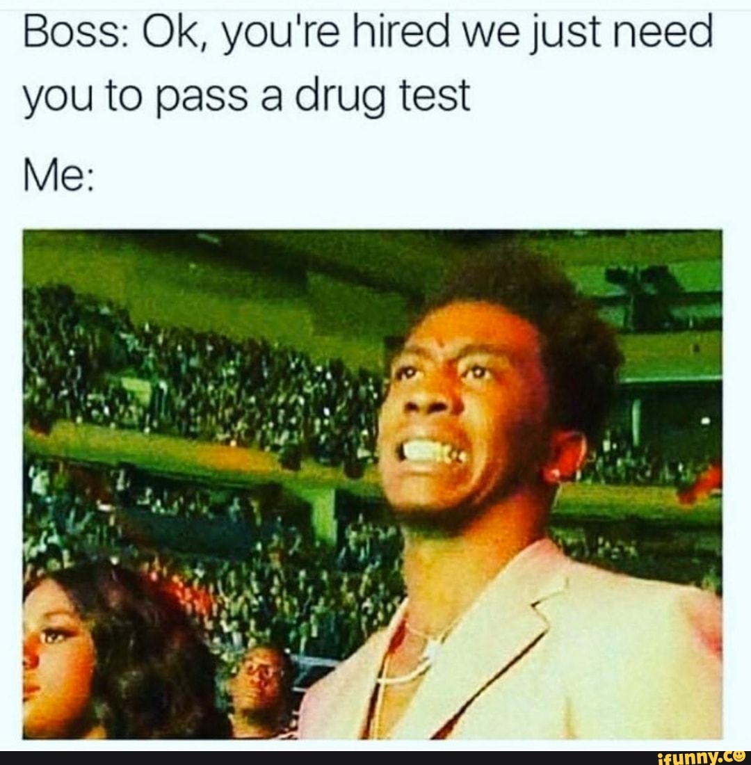 Boss: Ok, you're hired we just need you to pass a drug test Me: - iFunny