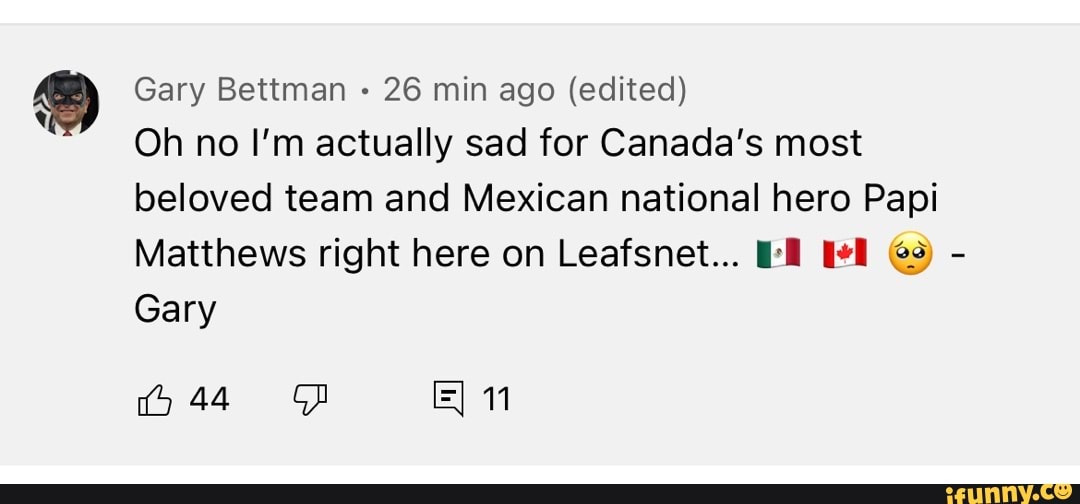 Leafsnet memes. Best Collection of funny Leafsnet pictures on iFunny