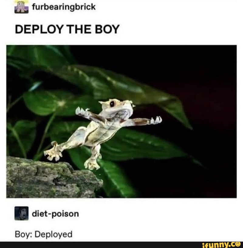 DEPLOY THE BOY diet-poison Boy: Deployed - iFunny