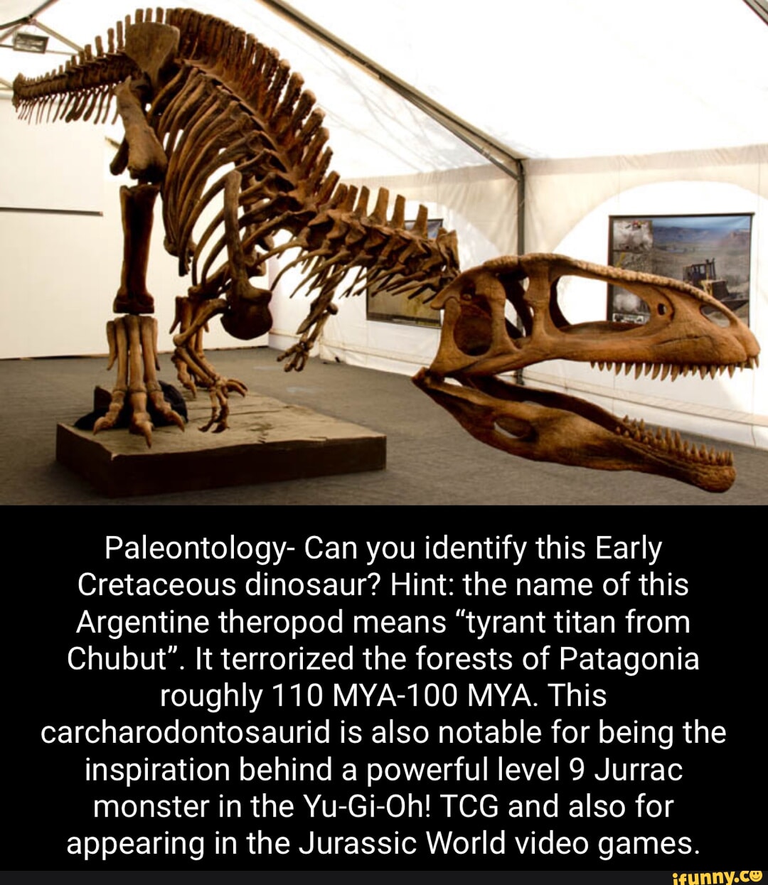 Paleontology- Can you identify this Early Cretaceous dinosaur? Hint ...