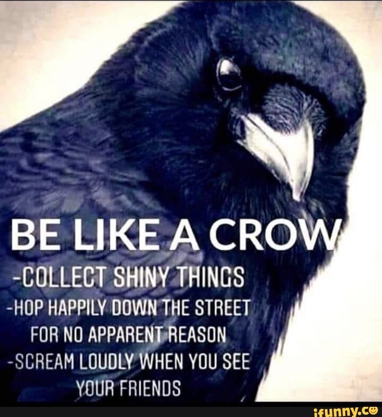BE LIKE CROW, -COLLECT SHINY THINGS -HOP HAPPILY DOWN THE STREET FOR NO ...