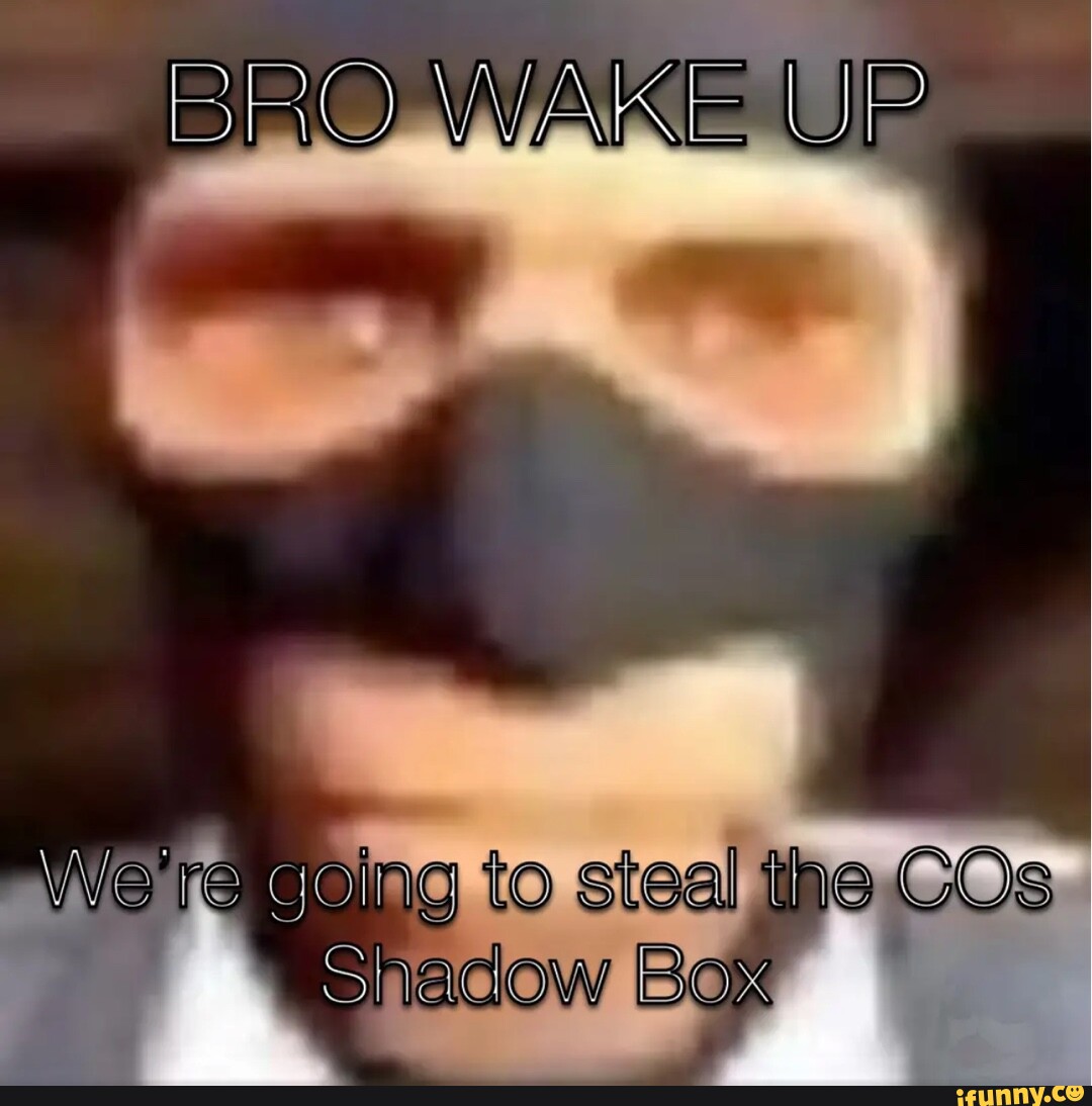 BRO WA WAKE UP We're going to steal Shacow Box - iFunny