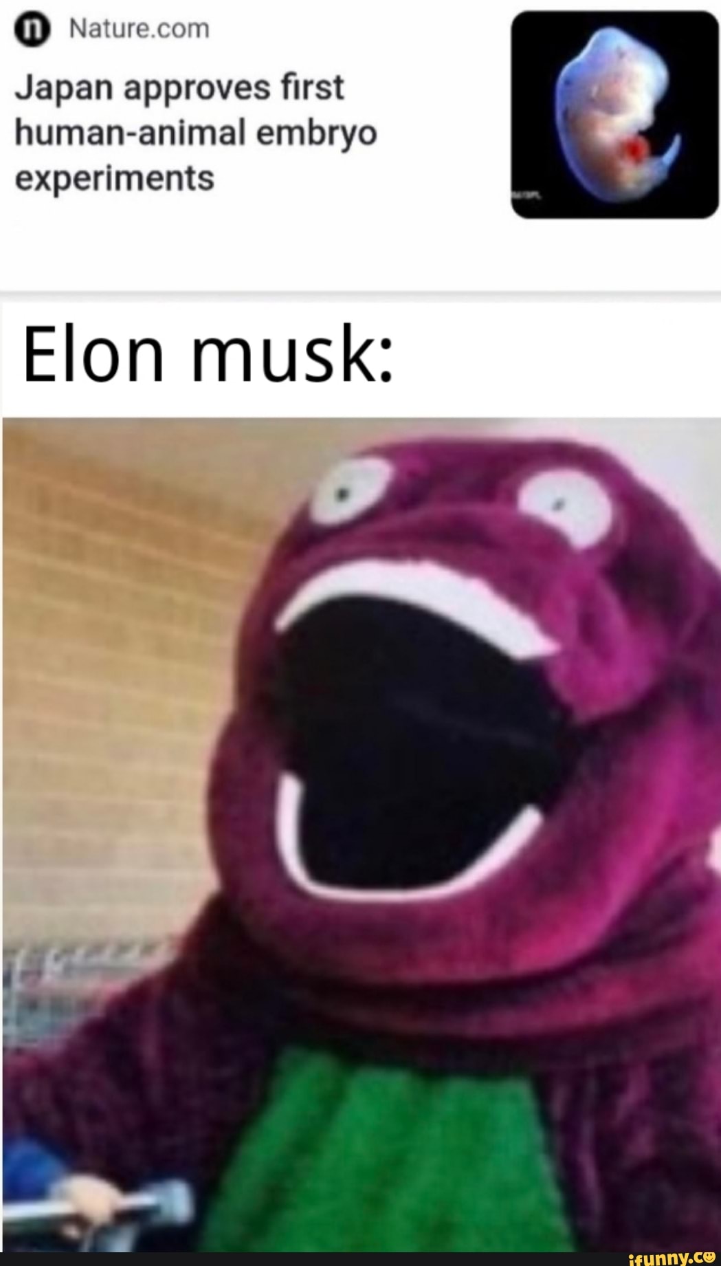 O Nature.com Japan approves first 9 human-animal embryo y experiments ...