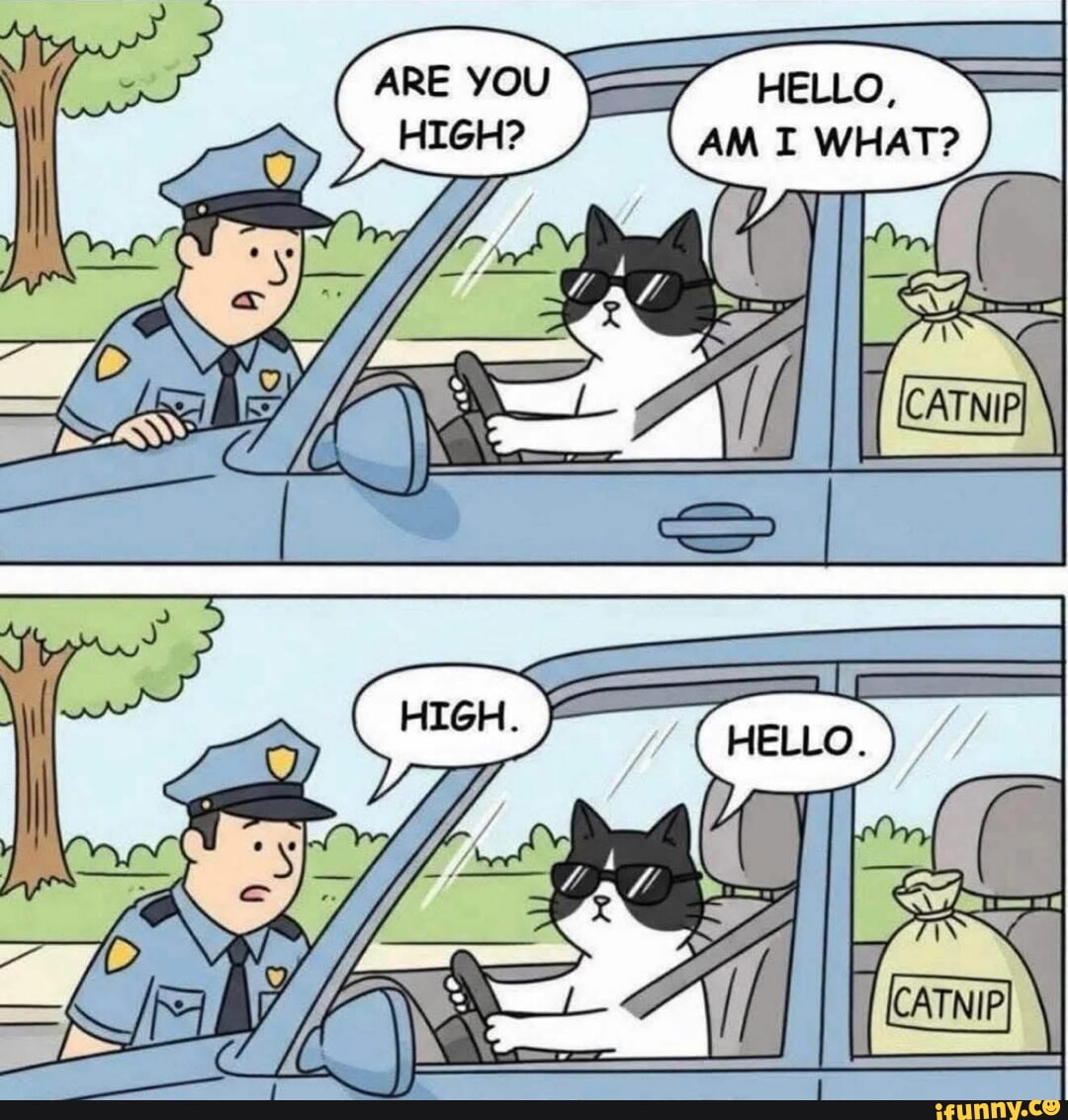 ARE YOU -7 HELLO, HIGH? AM I WHAT? Tax =eiilion - iFunny