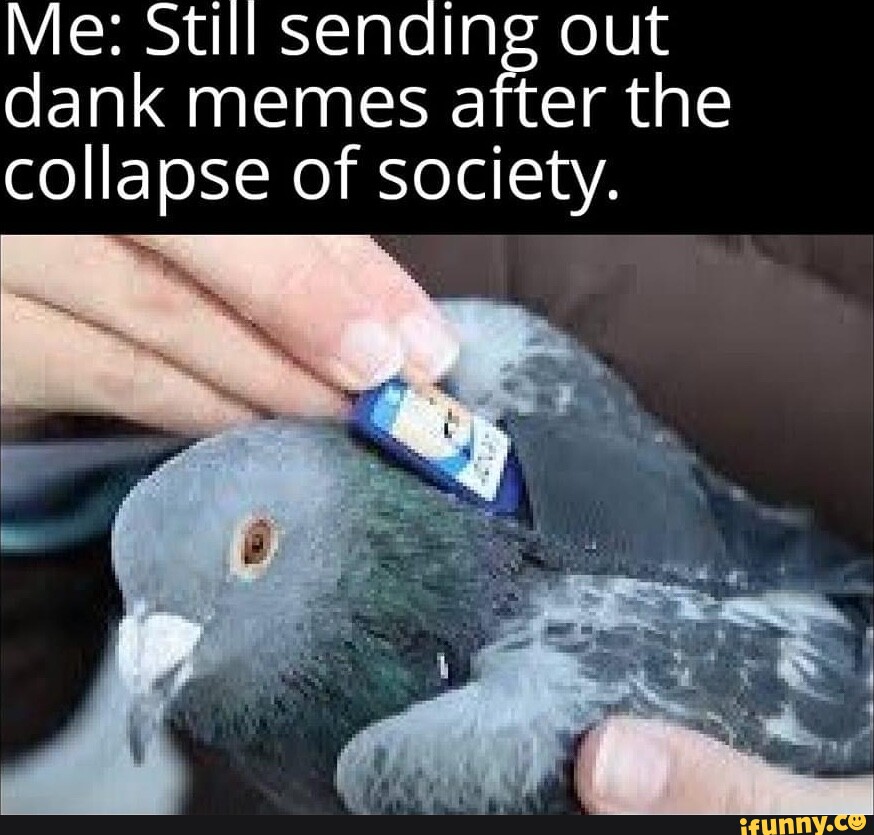 Me: Still sending out dank memes after the collapse of society. - iFunny