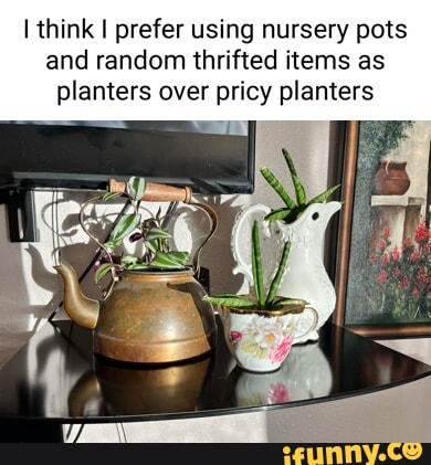 Planters memes. Best Collection of funny Planters pictures on iFunny
