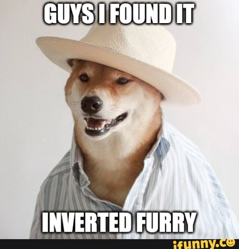 Inverten memes. Best Collection of funny Inverten pictures on iFunny Brazil