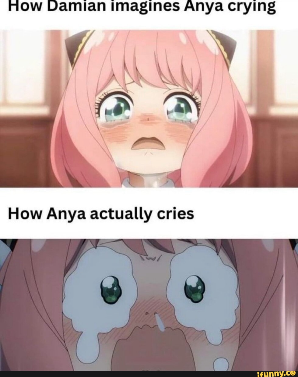 How Vamian imagines Anya crying How Anya actually cries - iFunny