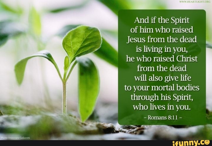 And if the Spirit of him who raised Jesus from the dead is living in ...