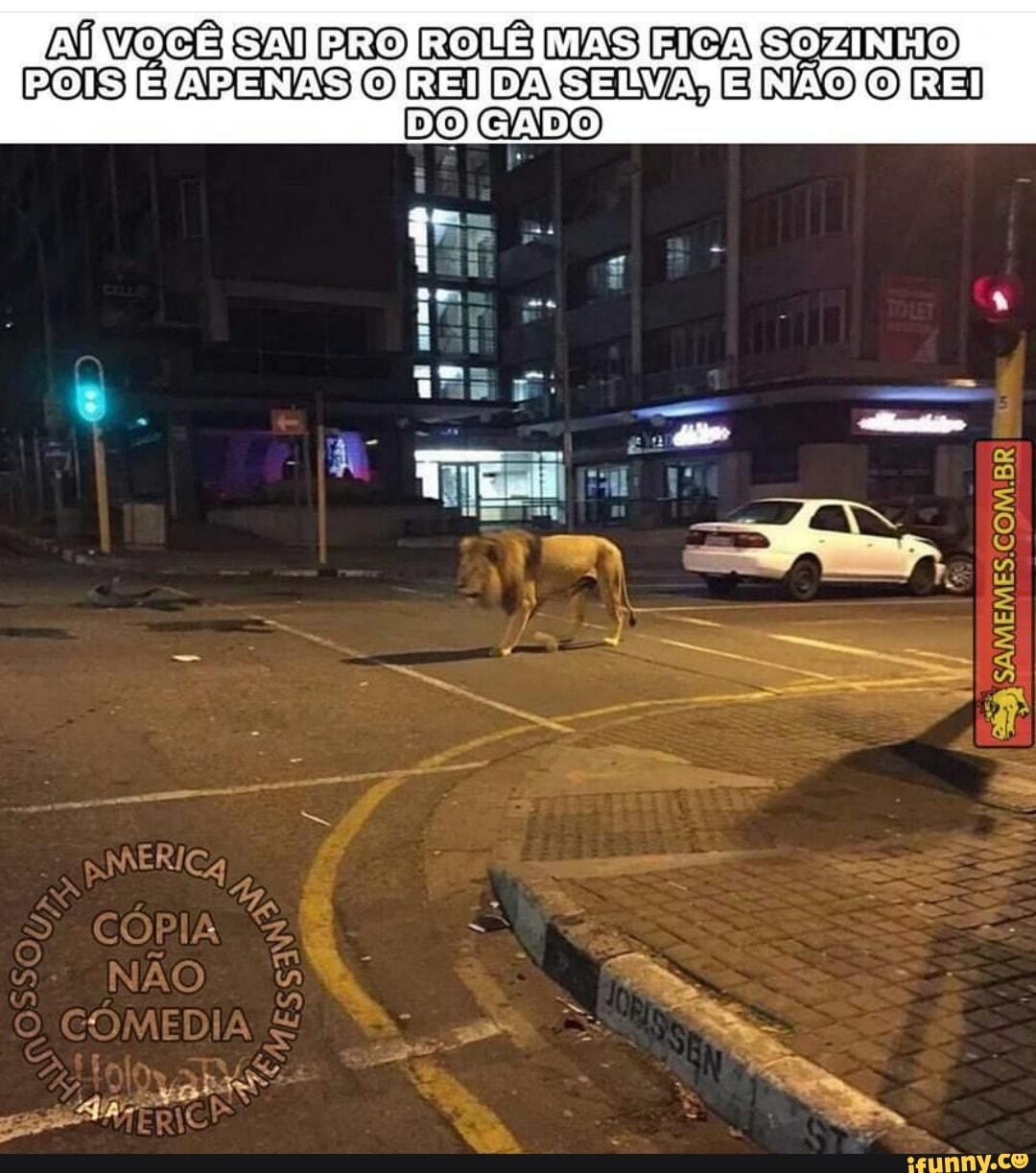 Wcb memes. Best Collection of funny Wcb pictures on iFunny Brazil