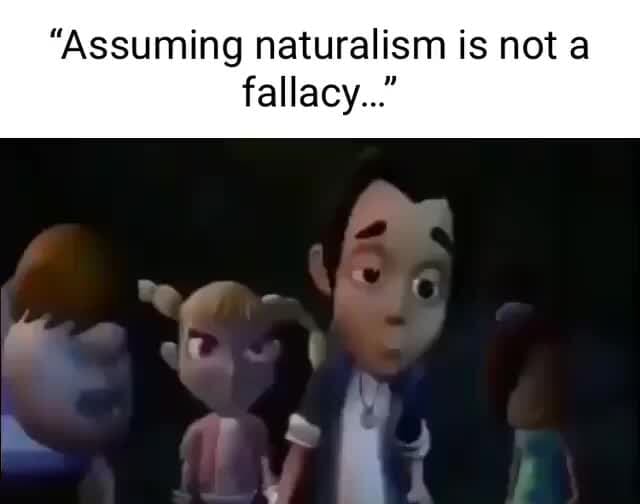 Naturalism Meme Surprised Koala Latest Memes Imgflip