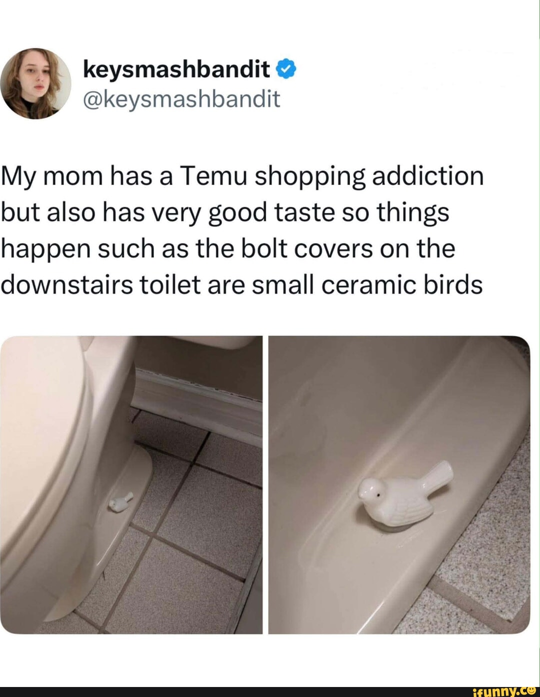Temu memes. Best Collection of funny Temu pictures on iFunny