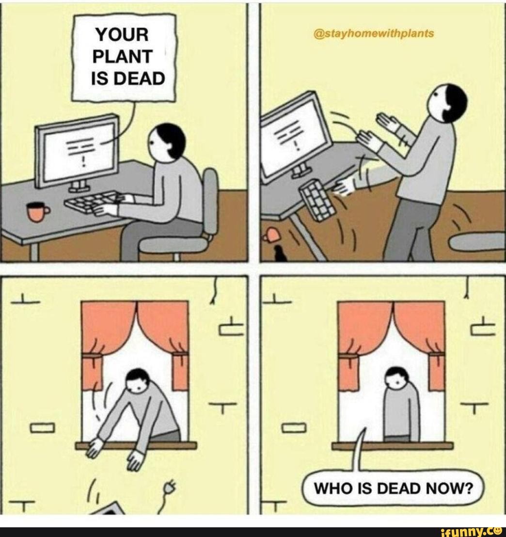 Plant_memes memes. Best Collection of funny Plant_memes pictures on iFunny