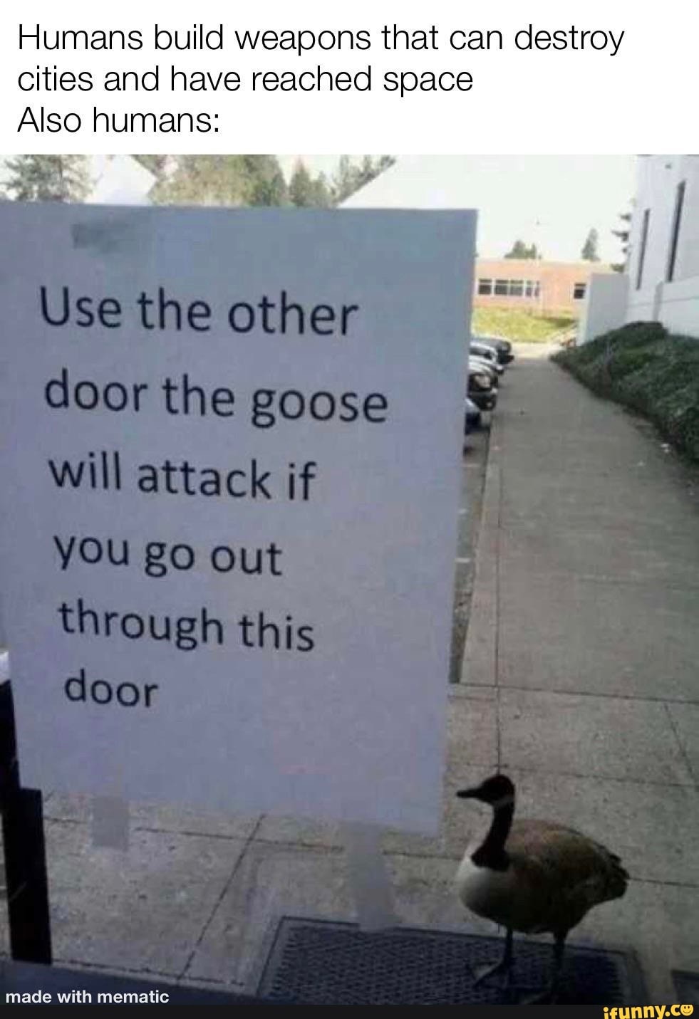 Humans build weapons that can destroy cities and have reached space ...