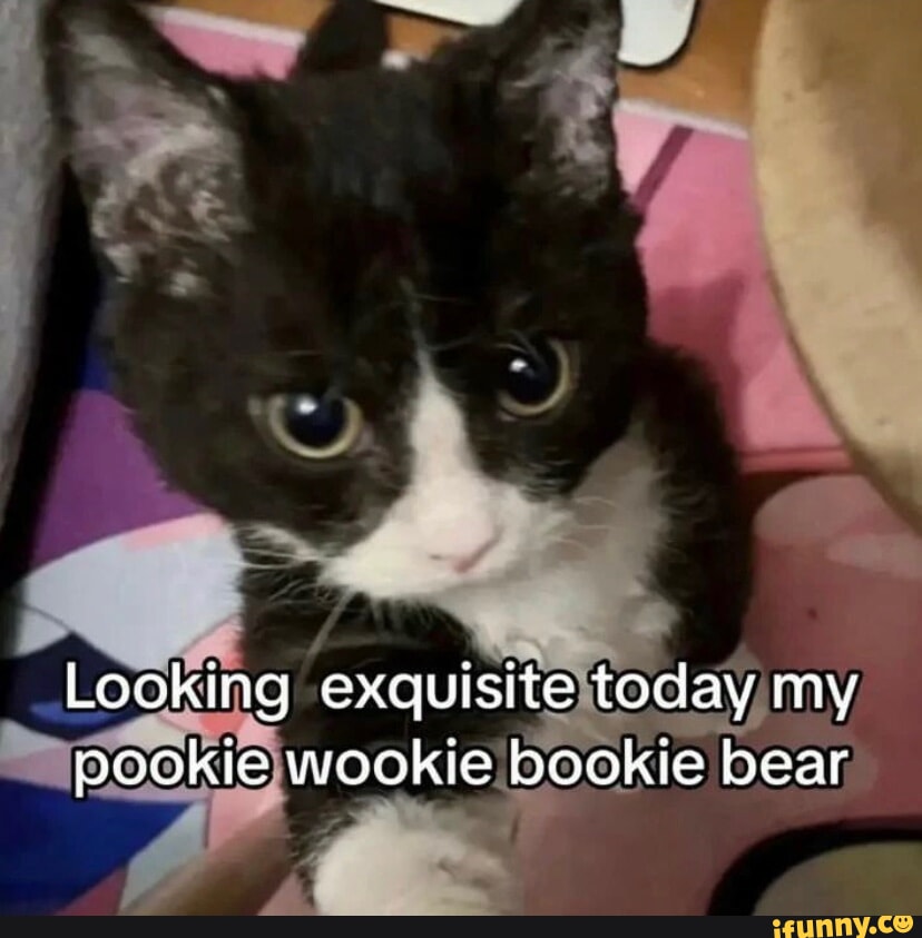 Bookie Memes