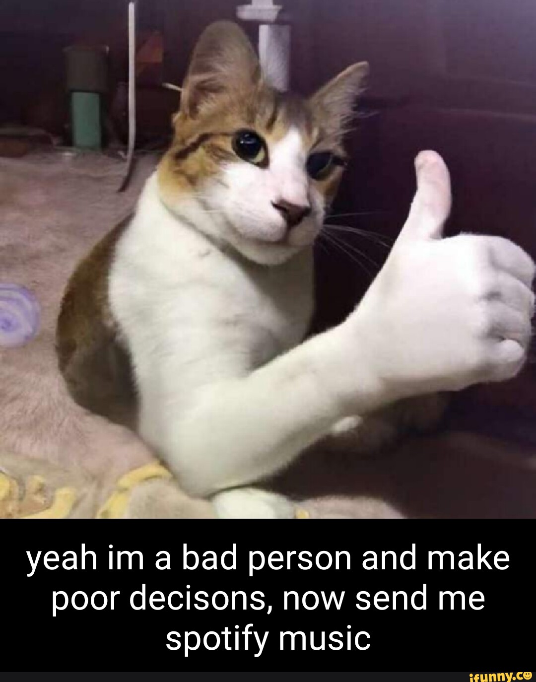 Yeah im a bad person and make poor decisons, now send me spotify music ...