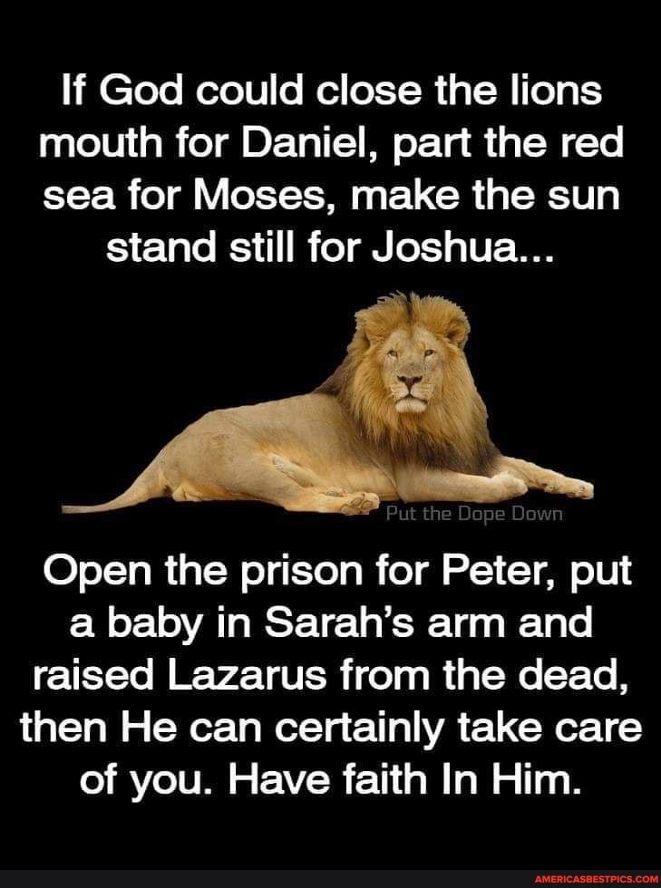 If God could close the lions mouth for Daniel, part the red sea for ...
