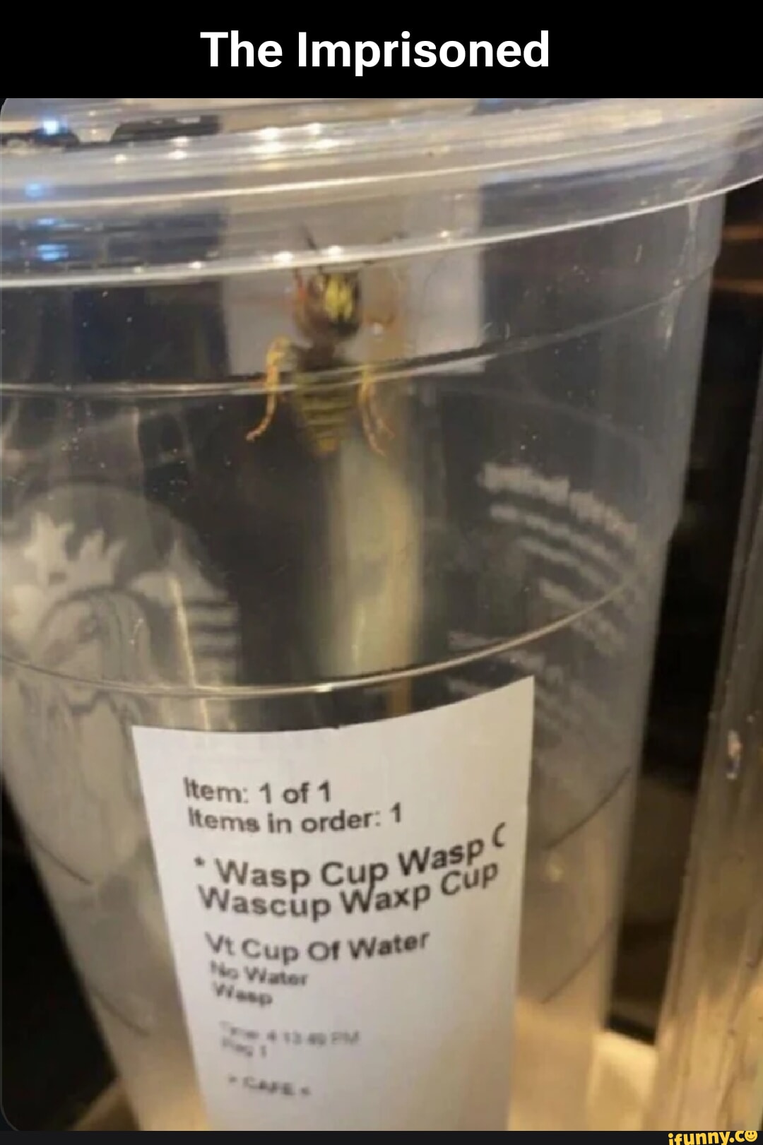 Wasps memes. Best Collection of funny Wasps pictures on iFunny