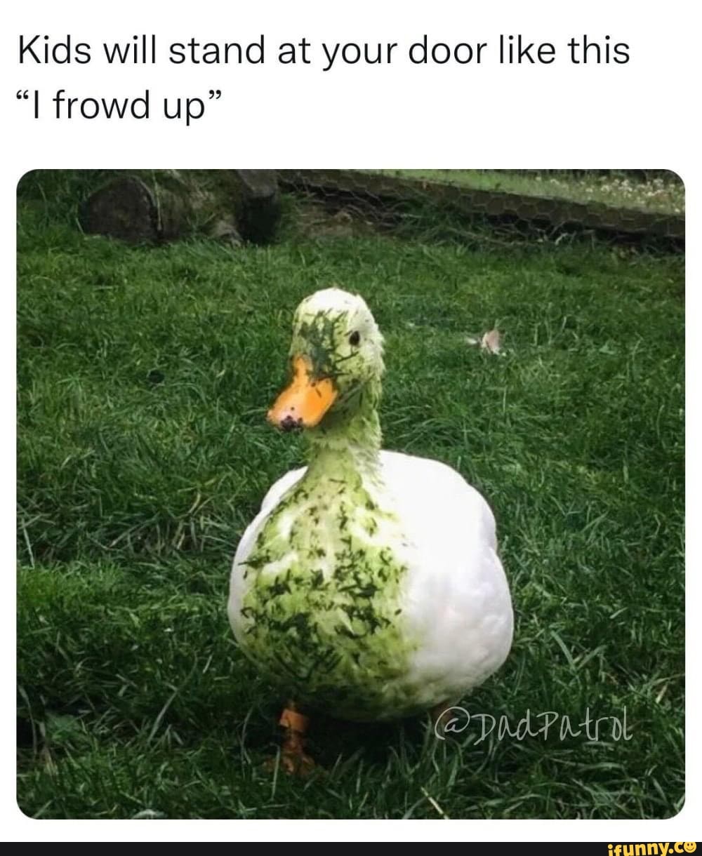 Frowd memes. Best Collection of funny Frowd pictures on iFunny