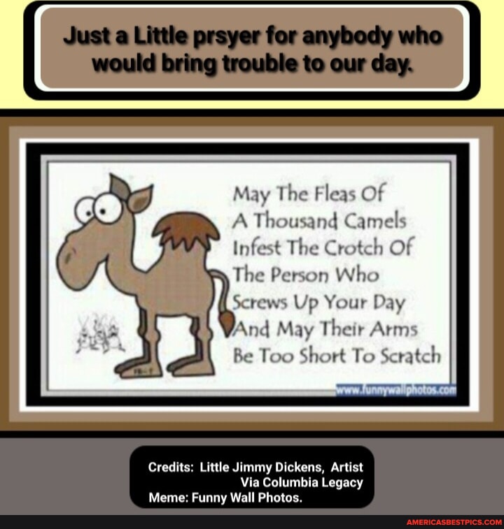 Little far bring May The Fleas Of A Thousand Camels Infest The Crotch ...