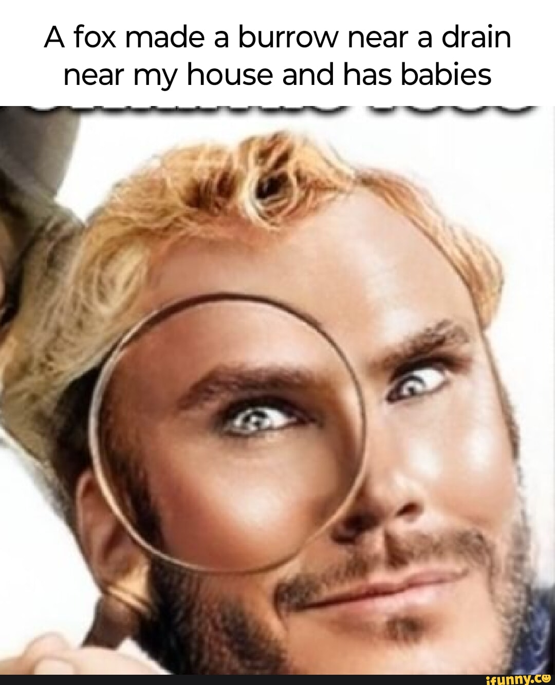 Burrow memes. Best Collection of funny Burrow pictures on iFunny