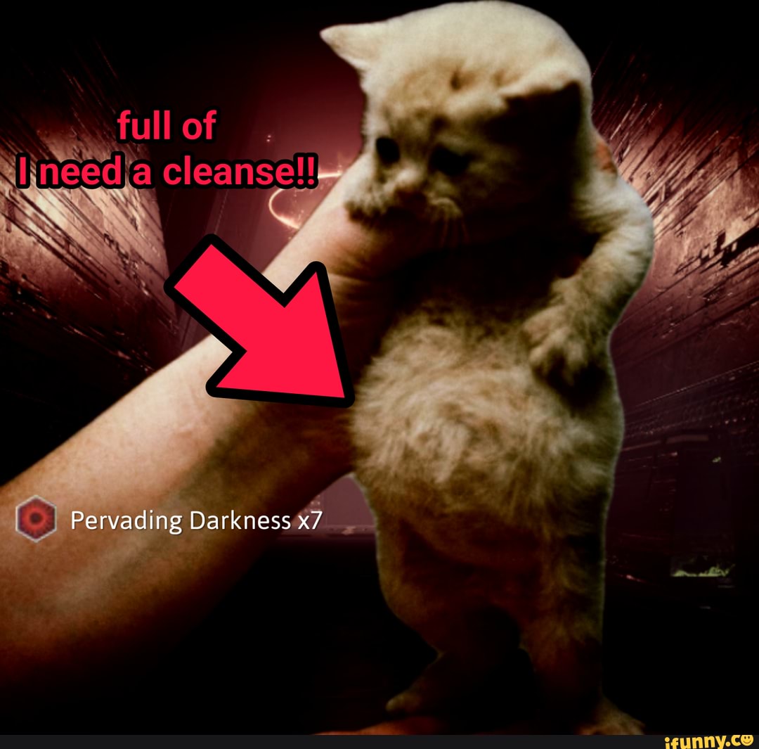 Pervading memes. Best Collection of funny Pervading pictures on iFunny