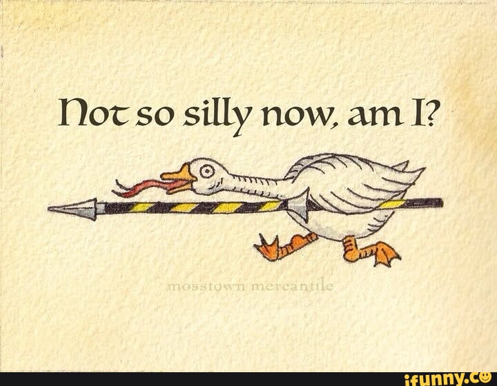 Not so silly now, am I? - iFunny
