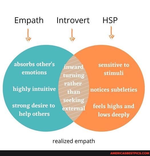 Empath Introvert HSP absorbs other's sensitive to emotions 'turning ...