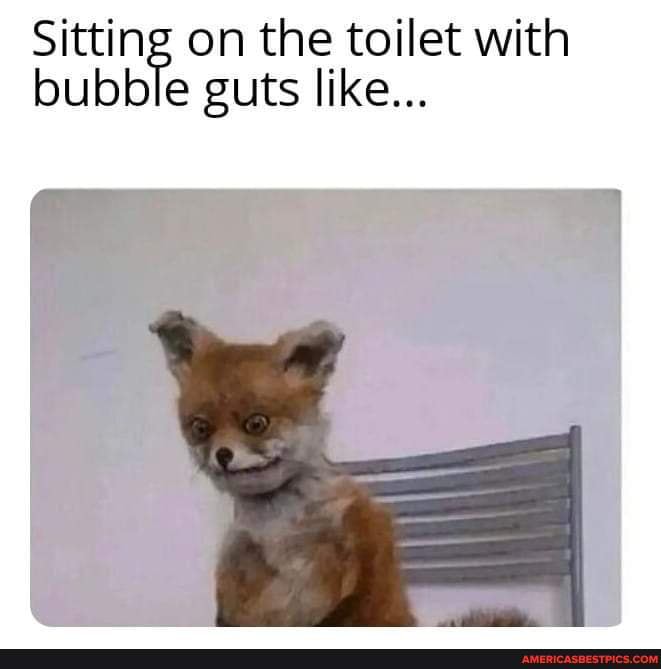 Sitting on the toilet with bubble guts like... - America’s best pics ...