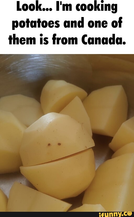 Look... I'm cooking potatoes and one of them is from Canada. - iFunny