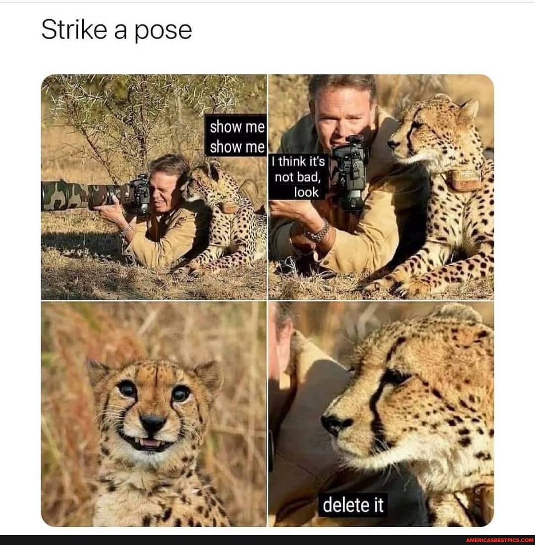 Strike a pose think it's not bad, look delete it - America’s best pics ...