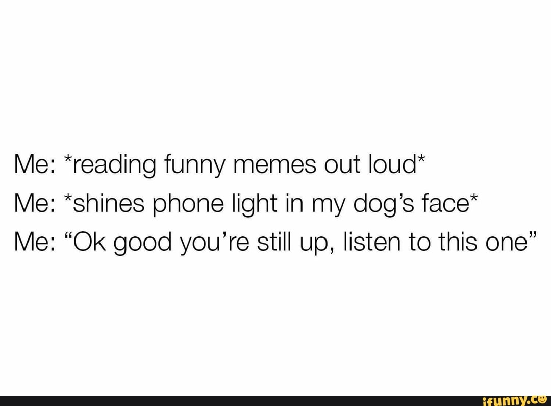 Me: *reading funny memes out loud* Me: *shines phone light in my dog's ...