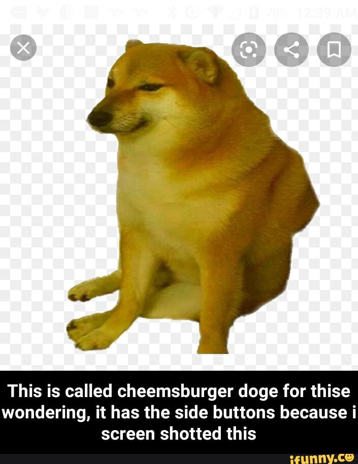This is called cheemsburger doge for thise wondering, it has the side ...