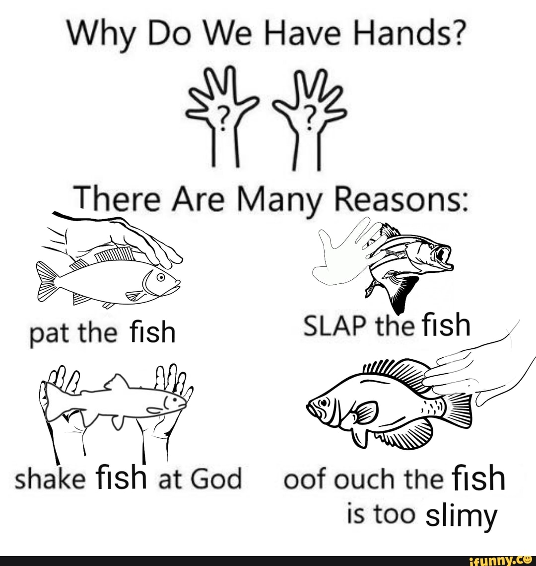 Why Do We Have Hands There Are Many Reasons sh sh IFunny