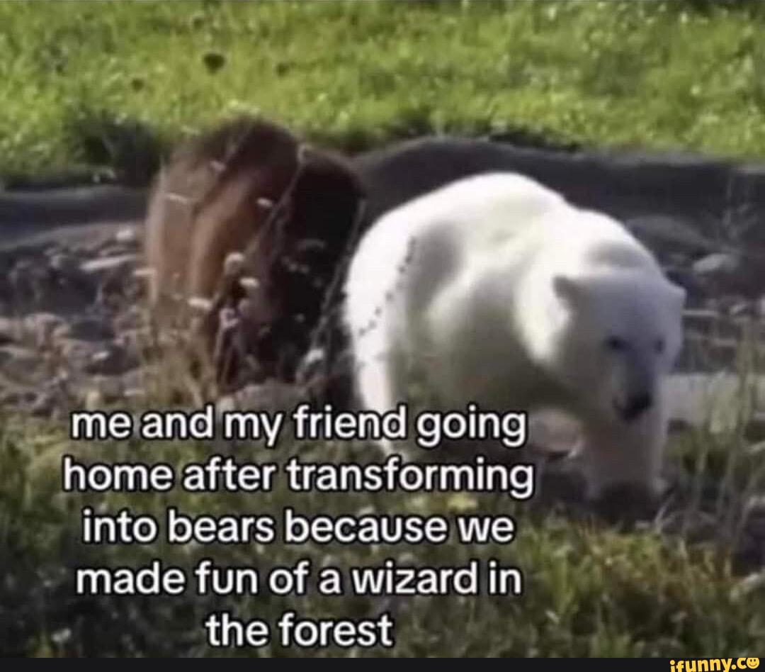 Me my friend going home 'after transforming into bears because we made ...