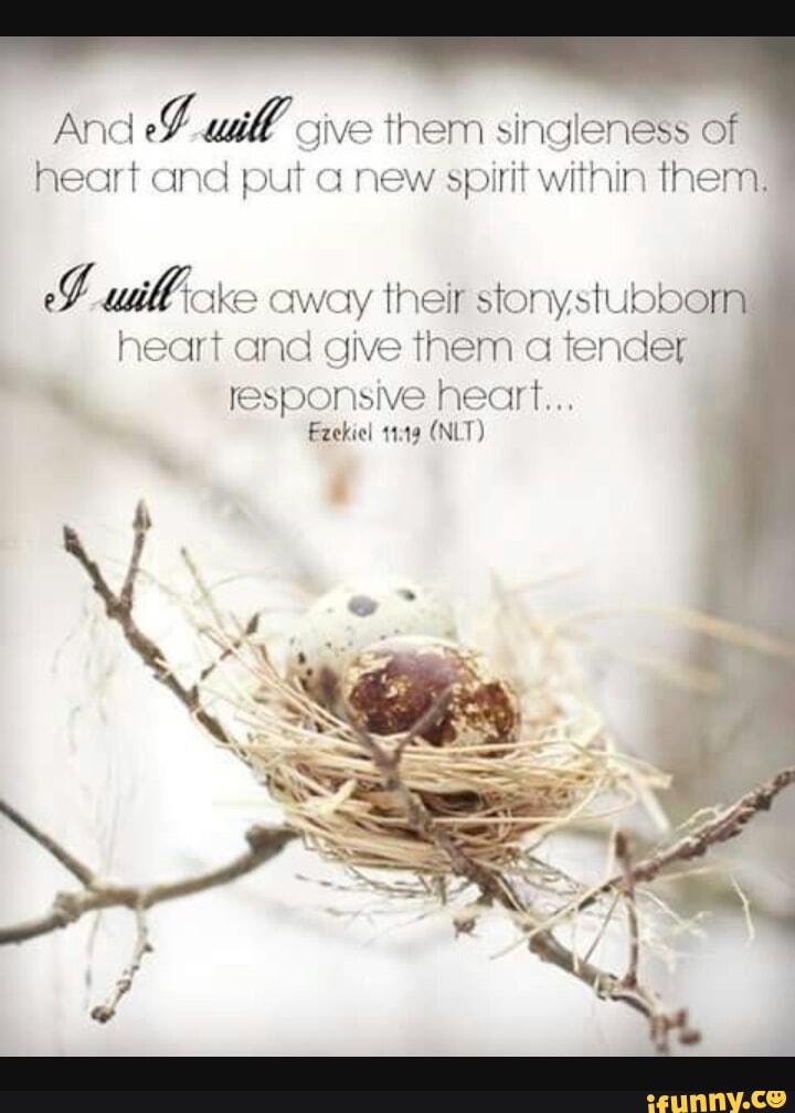 Stony memes. Best Collection of funny Stony pictures on iFunny