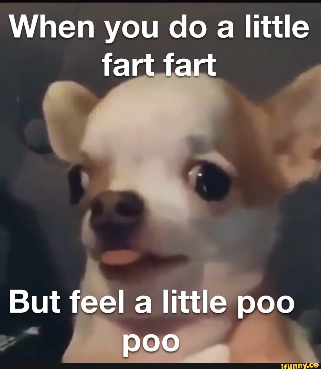 When you do a little fart fart But feel a little poo po - iFunny