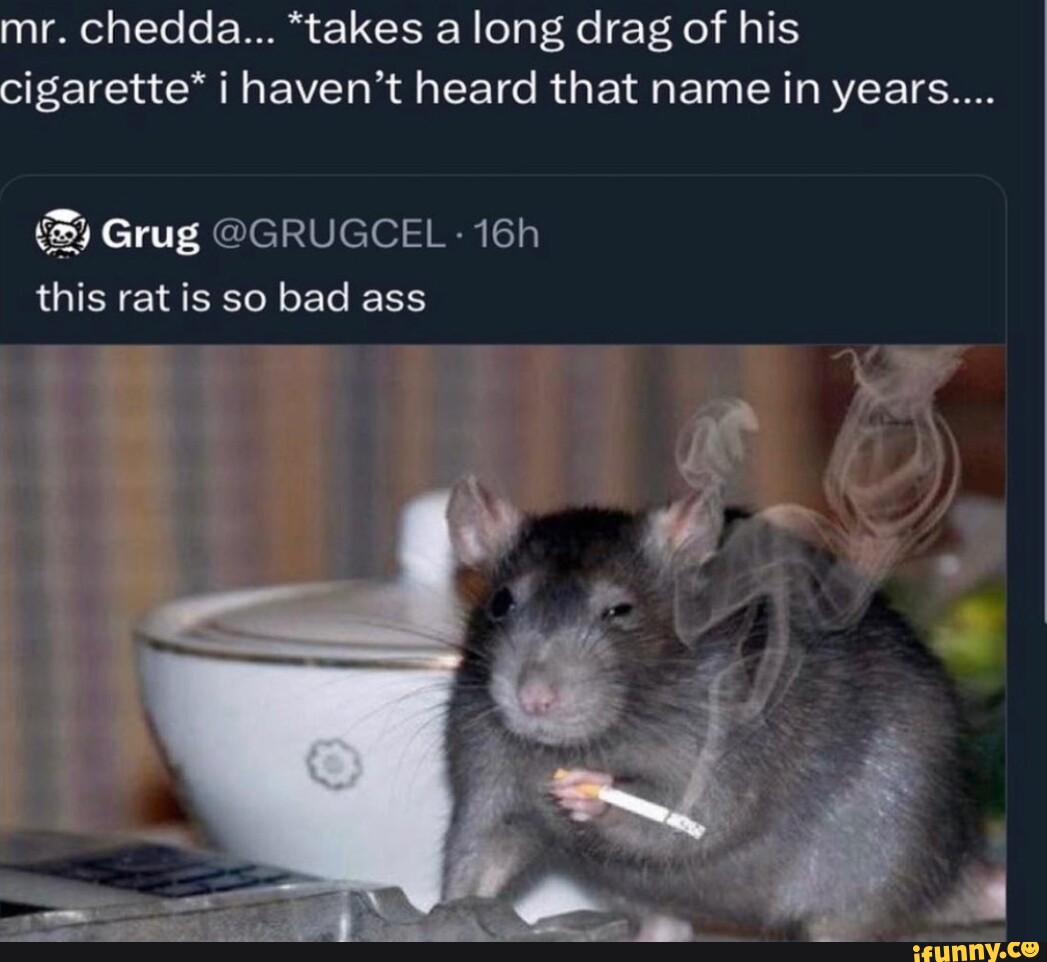 Chedda memes. Best Collection of funny Chedda pictures on iFunny