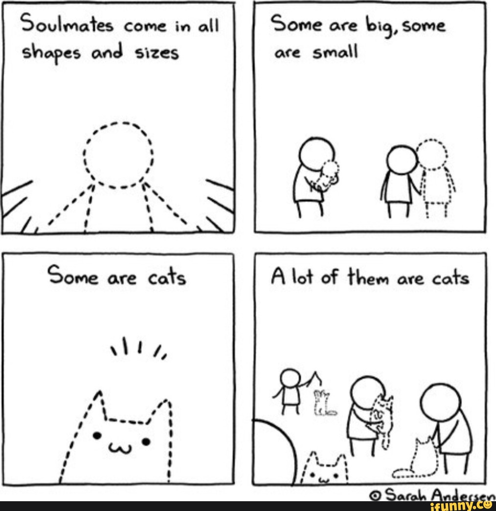 Cots memes. Best Collection of funny Cots pictures on iFunny