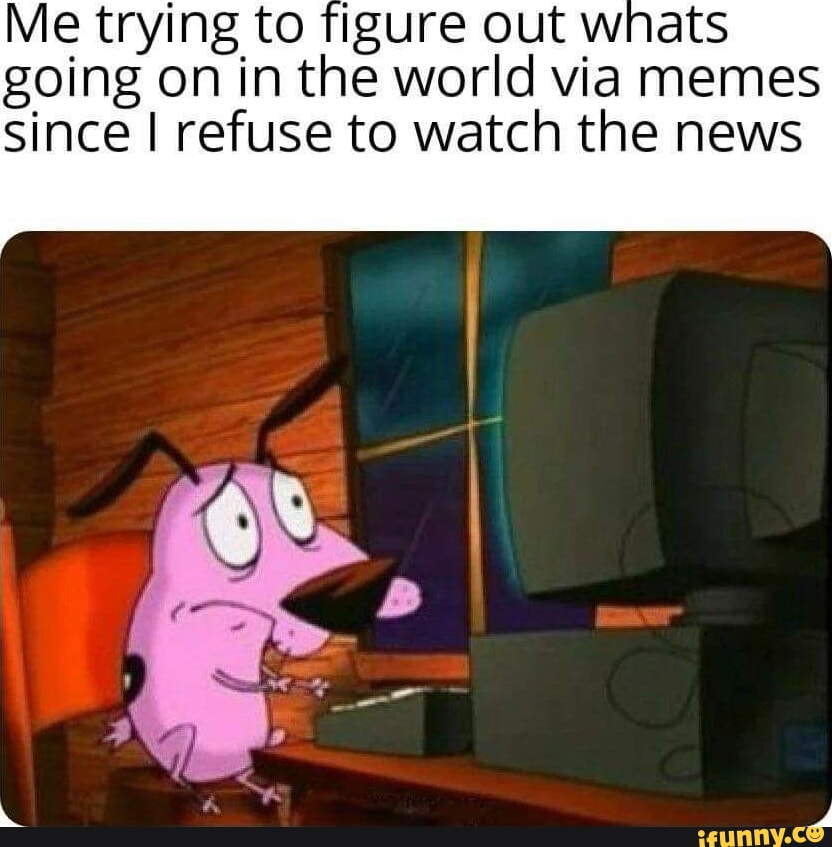 Me trying to figure out wnats going on in the world via memes Since I ...