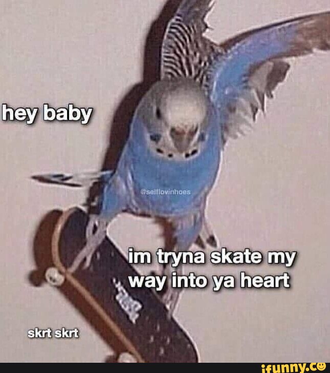 Skrt memes. Best Collection of funny Skrt pictures on iFunny