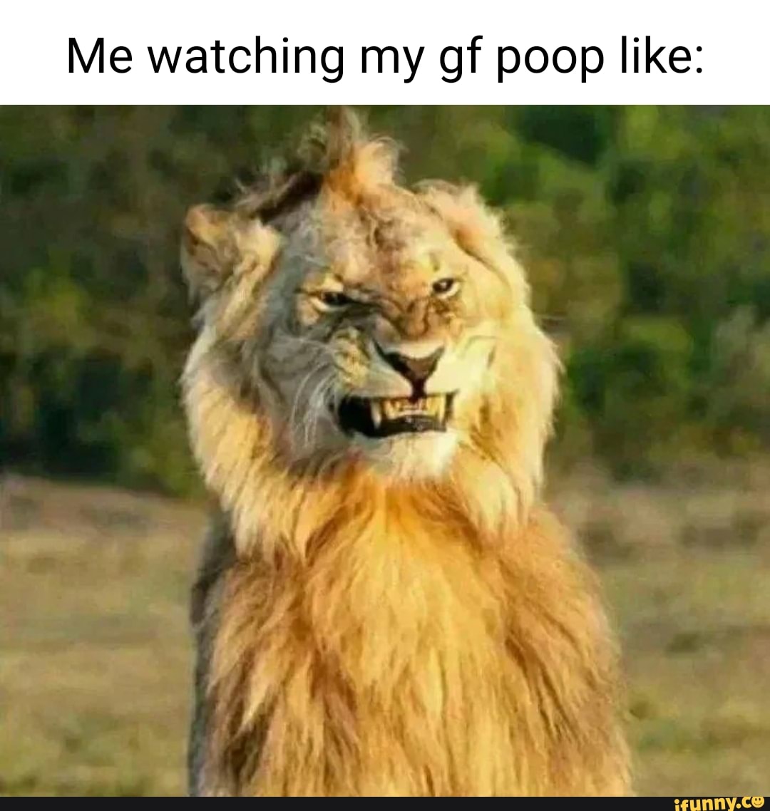 Me watching my gf poop like: - iFunny