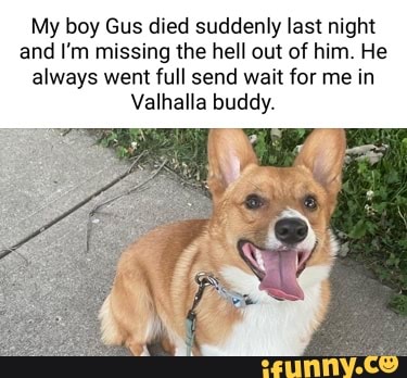 Overachiever memes. Best Collection of funny Overachiever pictures on ...