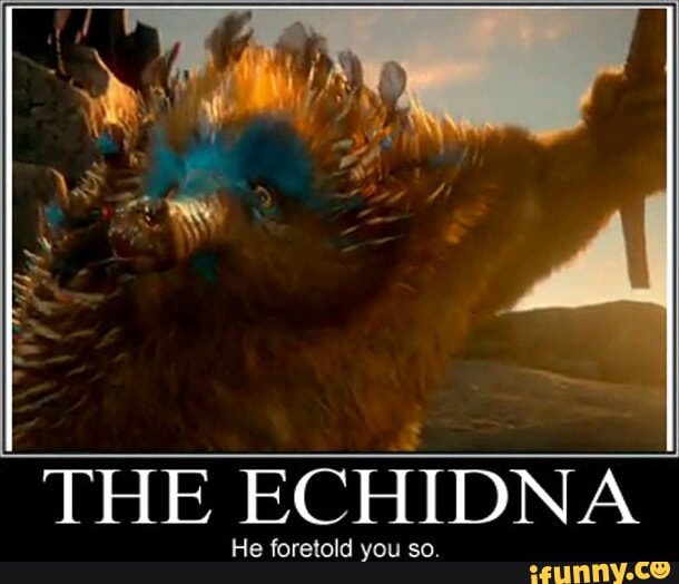 Foretold memes. Best Collection of funny Foretold pictures on iFunny