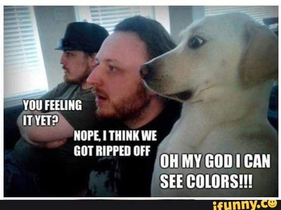 Lightweight - YOU FEELING NOPE. THINK WE GOT RIPPED OFF OH MY GOO1 GAN ...