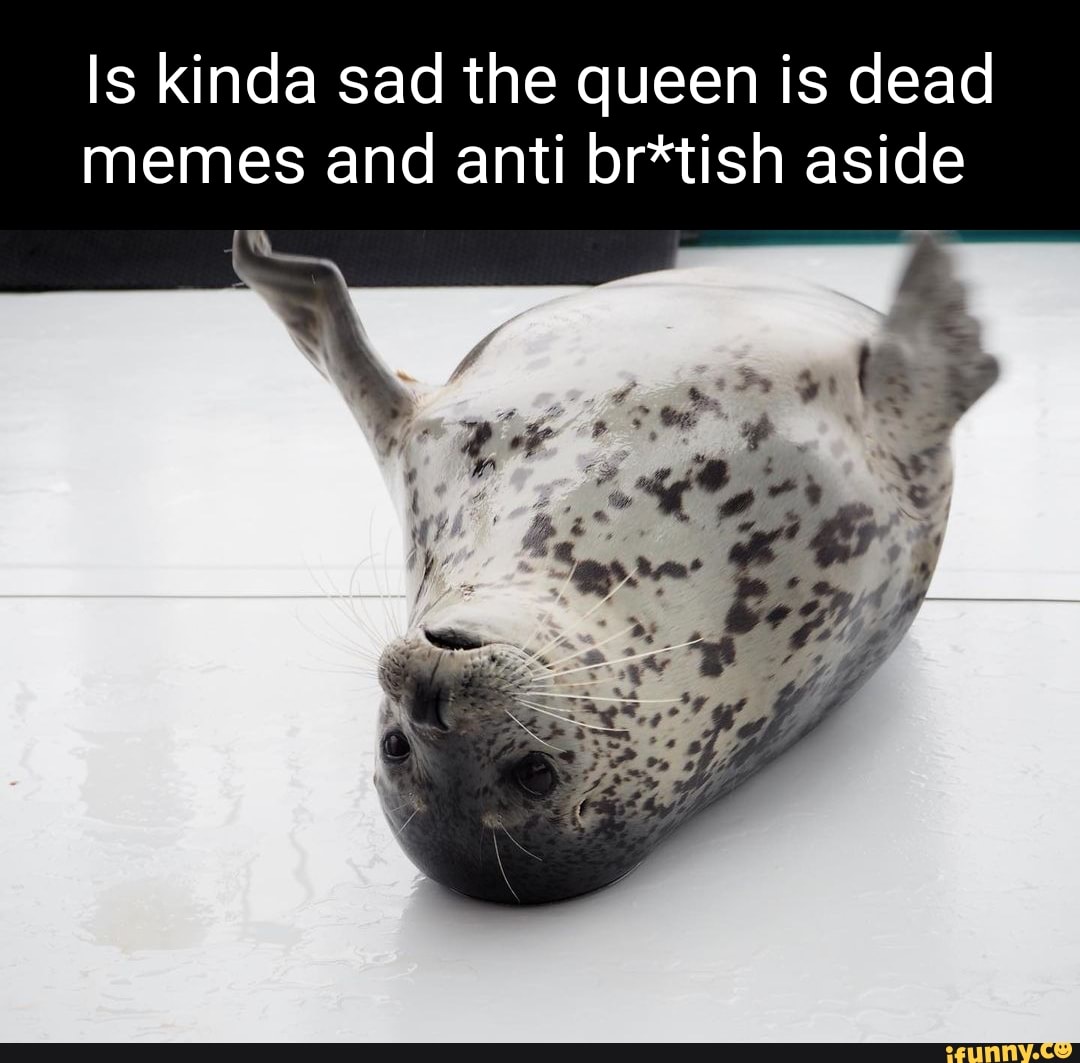 Is kinda sad the queen is dead memes and anti or*tish aside - iFunny