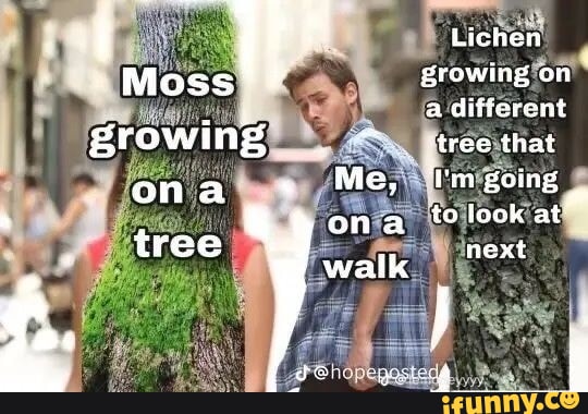 Growing memes. Best Collection of funny Growing pictures on iFunny