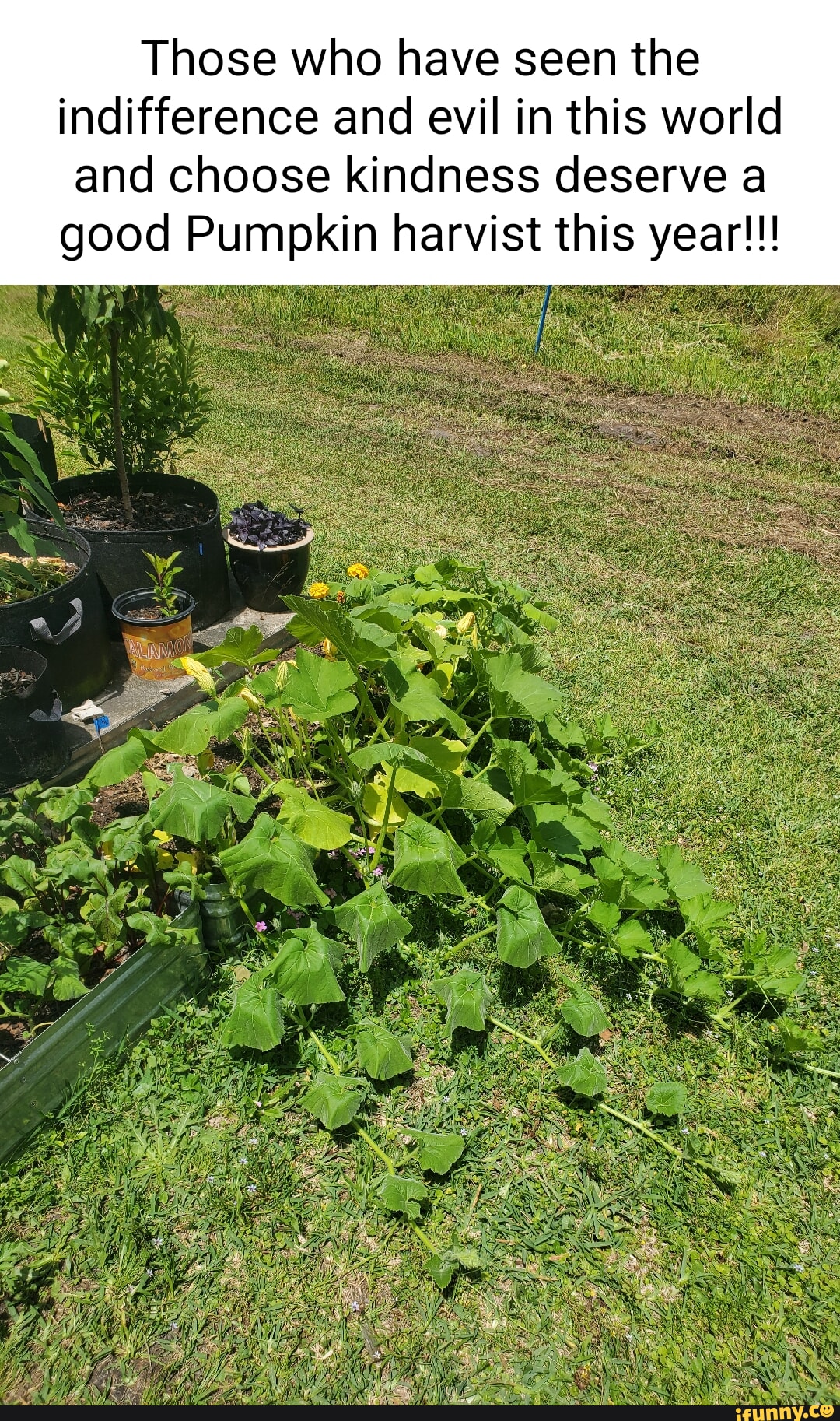 Indifference memes. Best Collection of funny Indifference pictures on ...